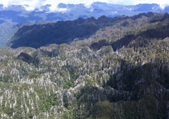 SGL - Indonesia Photos